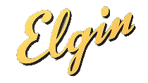 Elgin – Page 10 – Pine Lake Parts