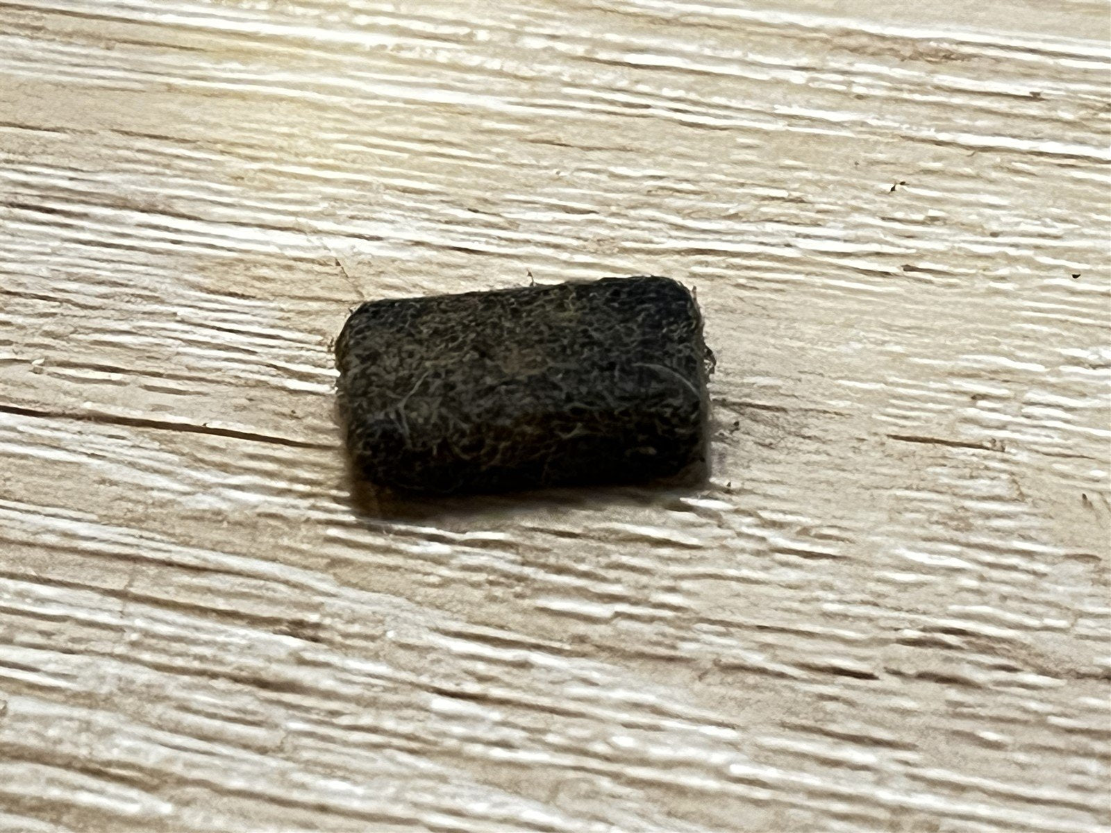 Chrysler Force 14033 F14033 Felt Wiper – Pine Lake Parts